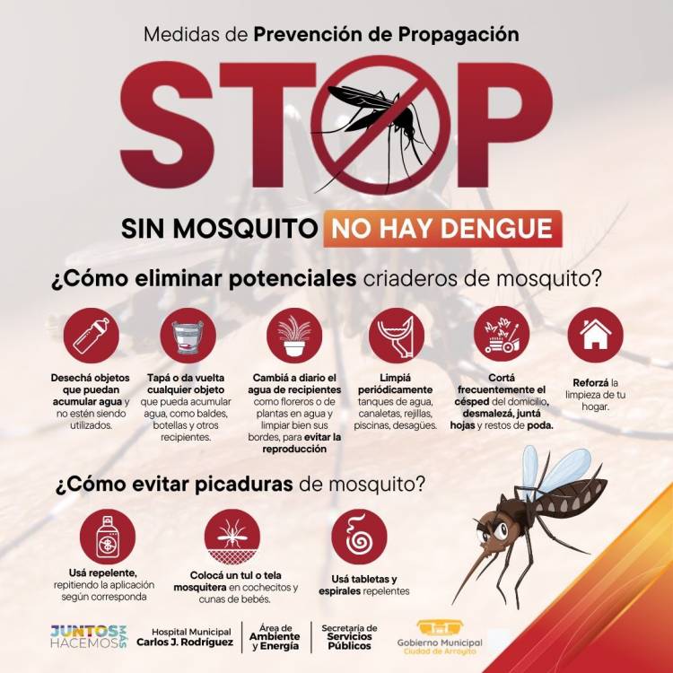 SIN MOSQUITO, NO HAY DENGUE - arroyitoyelmundo